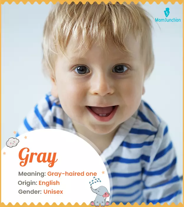 Gray Name Meaning And Origin: A Comprehensive Guide