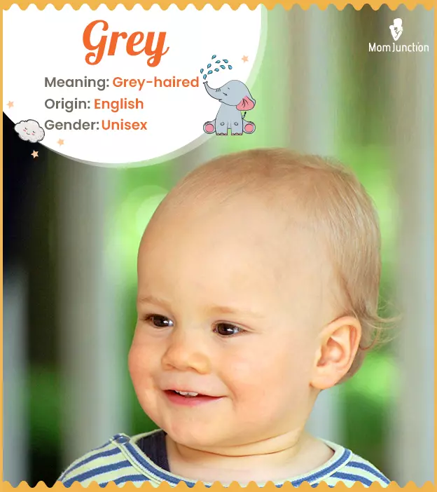 Grey Name Meaning, Origin, History, And Popularity