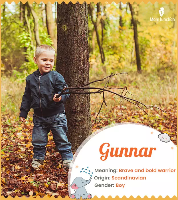 Gunnar Name Meaning, Origin, And History: Key Insights