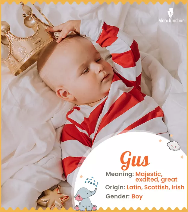 Gus Name Meaning, Origin, History, And Popularity