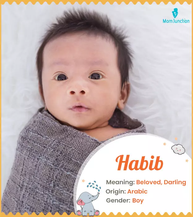Habib Name Origin, Meaning, And History: Ultimate Guide