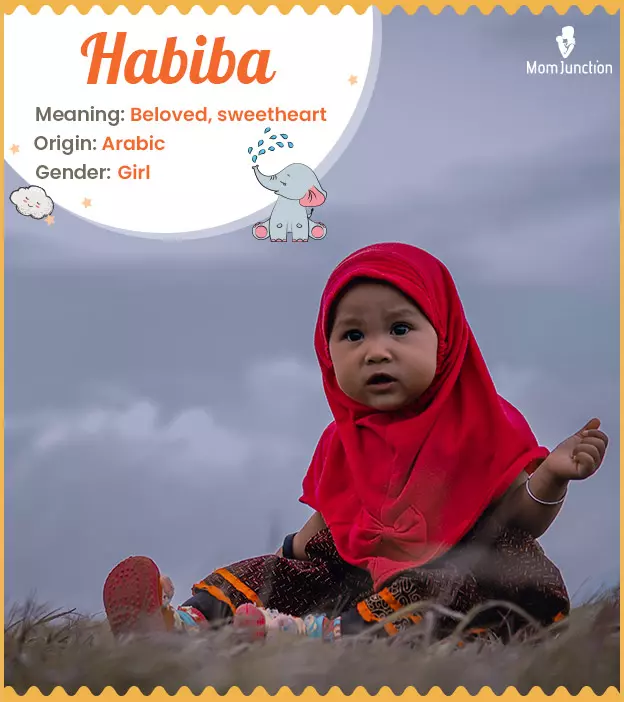 Habiba Name Meaning, Origin, History, And Popularity