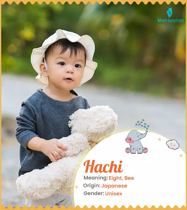 Explore Hachi: Meaning, Origin & Popularity