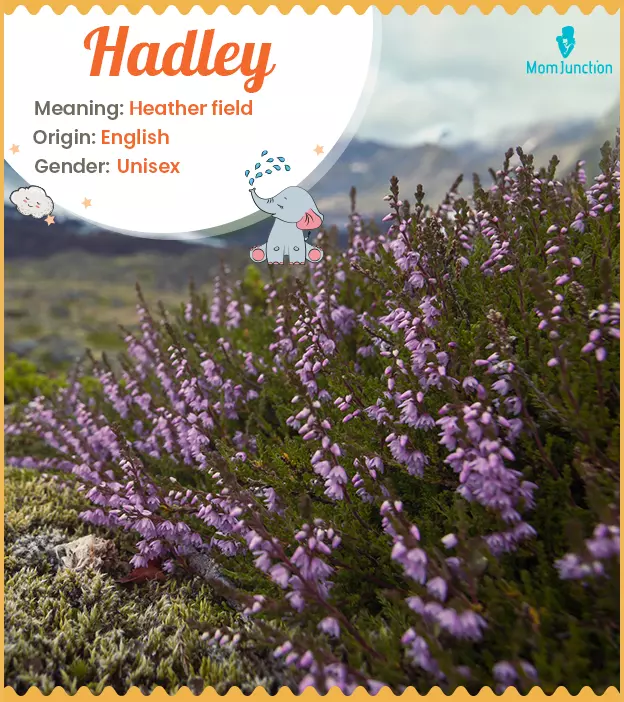 Hadley Name Meaning, Origin, History, And Popularity