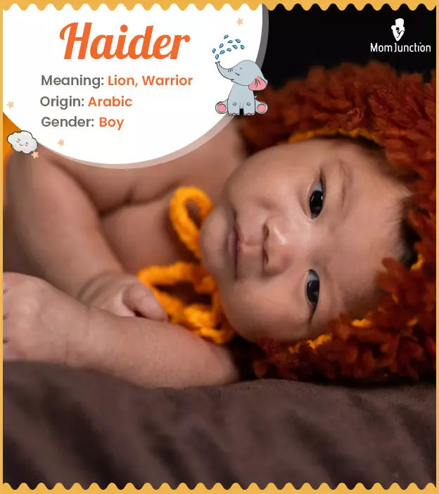 Haider Name Meaning And History: A Comprehensive Guide