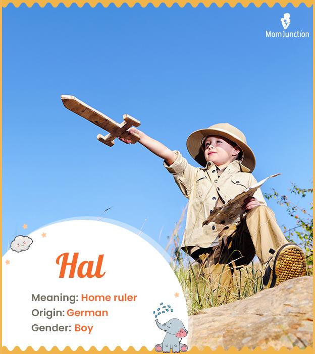 Hal Name Meaning, Origin, History, And Popularity