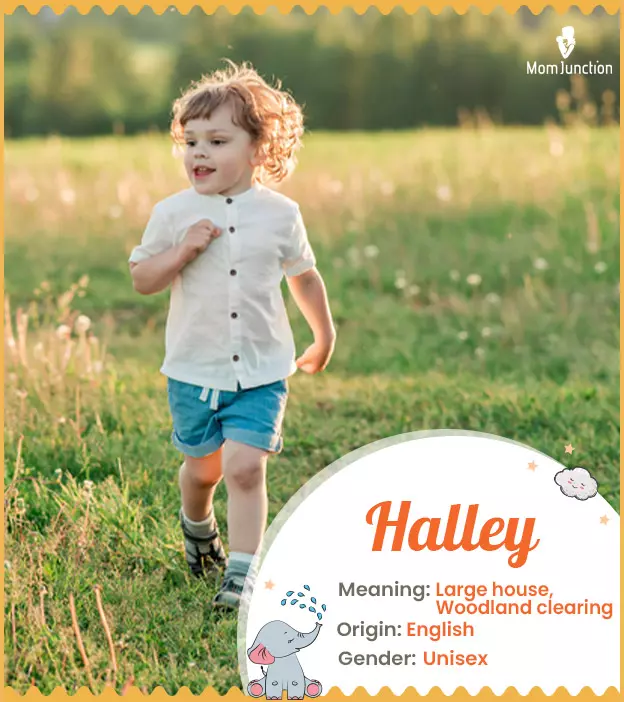 Halley Name Meaning, Origin, And Popularity: Key Insights