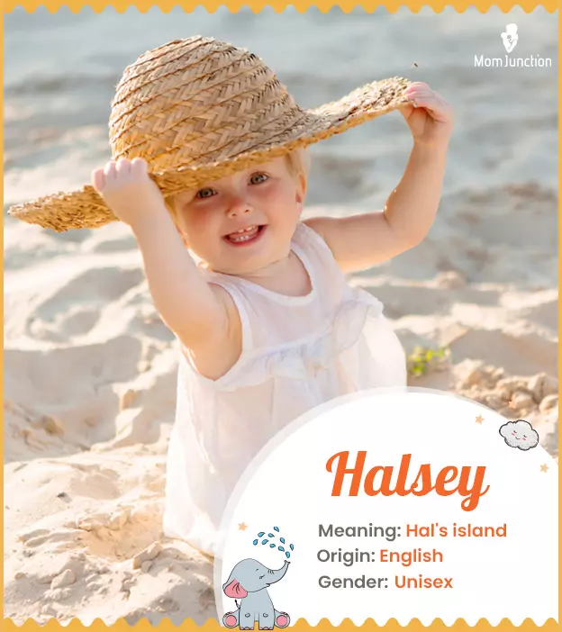 Halsey Name Meaning And History: A Comprehensive Guide