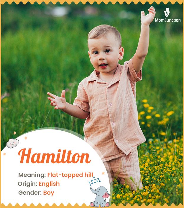 Hamilton Name Meaning, Origin, History, And Popularity