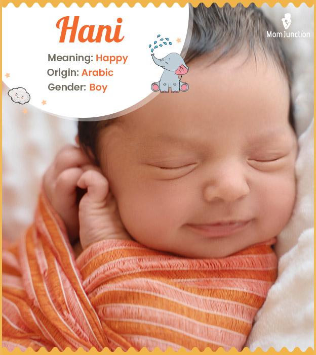 Hani Name Meaning, Origin, History, And Popularity