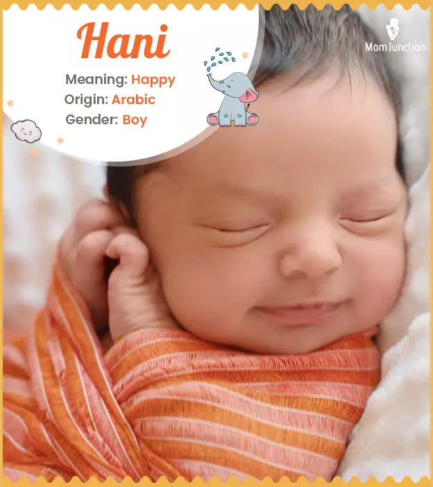 Hani Name Meaning & Origin: A Comprehensive Guide