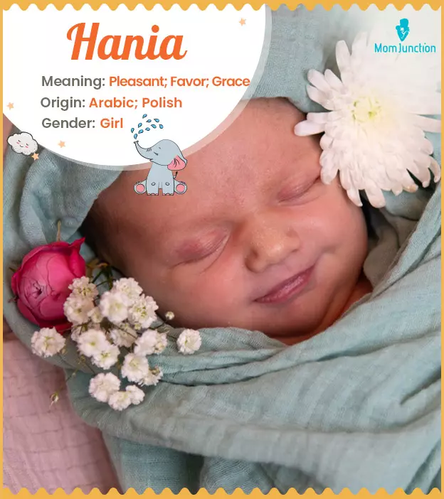 Hania Name Meaning, Origin, History, And Popularity