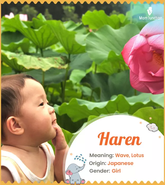 Explore Haren Name Meaning: A Comprehensive Guide To Origin And Usage ...