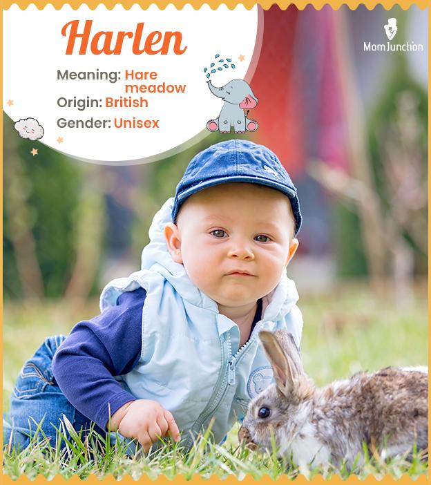 Harlen Name Meaning, Origin, History, And Popularity