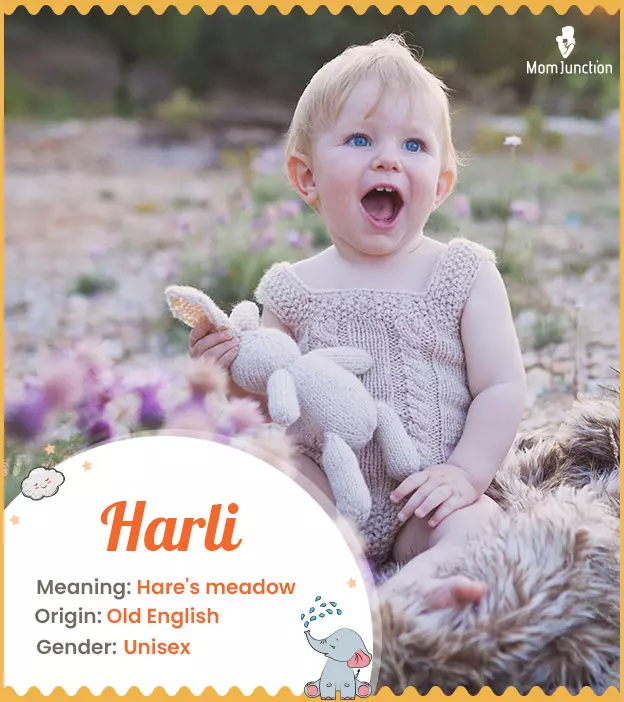 Explore Harli: Meaning, Origin & Popularity