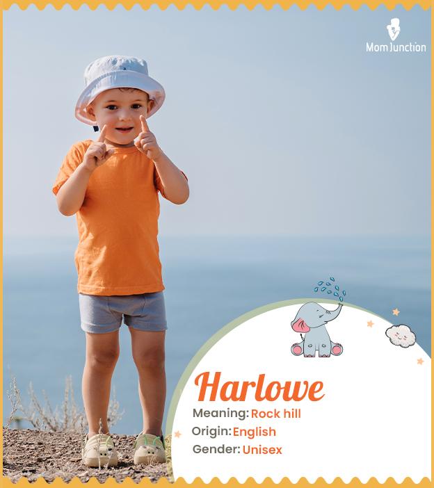 Explore Min: Meaning, Origin & Popularity