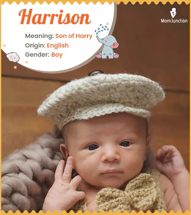 Harrison Name Meaning, Origin, History, And Popularity