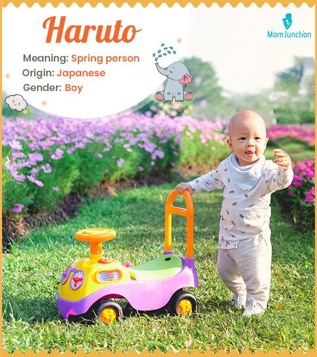 Haruto Meaning, Origin, History, And Popularity