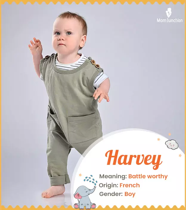 Harvey Name Meaning & Origin: Everything You Need To Know