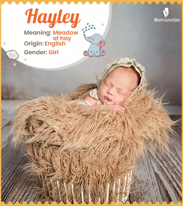 Hayley Name Instagram.com/hayleyschumacher Hello There! My Name Is