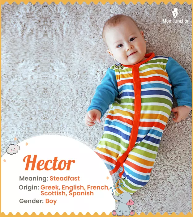 Hector Name Meaning, Origin, History, And Popularity