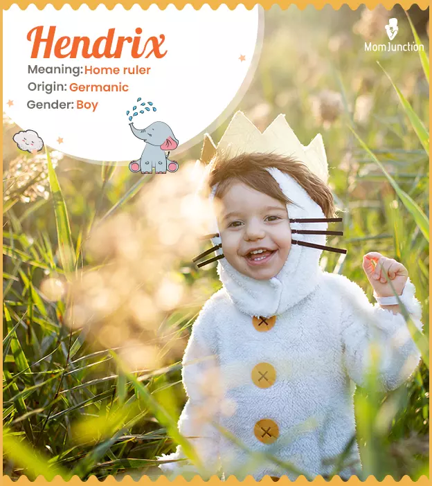 Hendrix Name Meaning, Origin, History, And Popularity