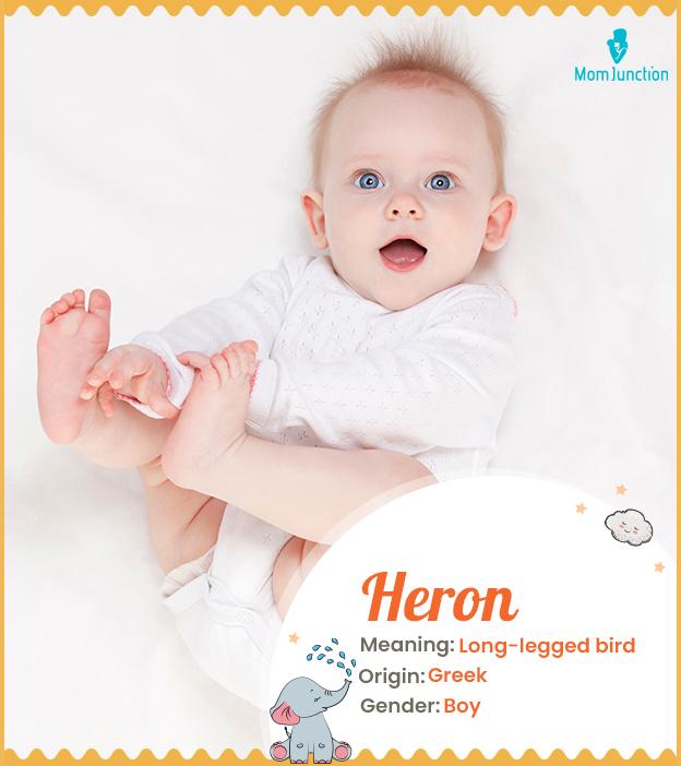 Heron Name Meaning, Origin, History, And Popularity