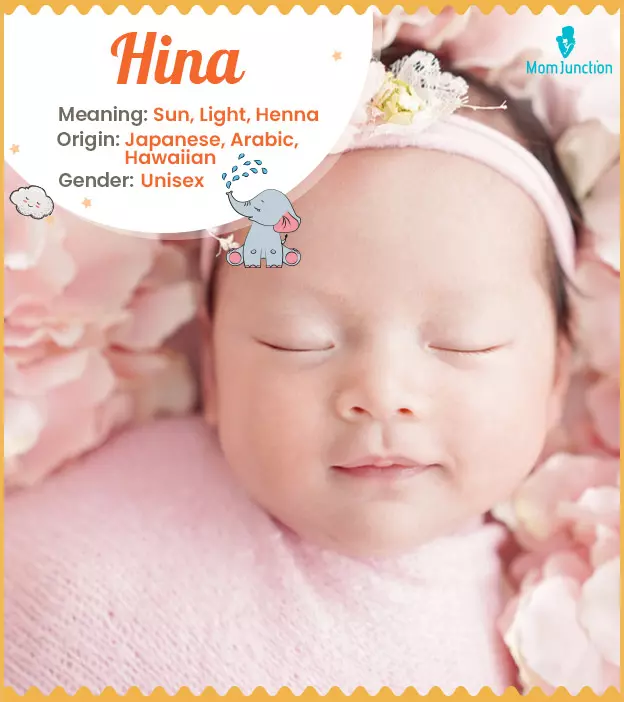 Hina Name Meaning, Origin, History, And Popularity