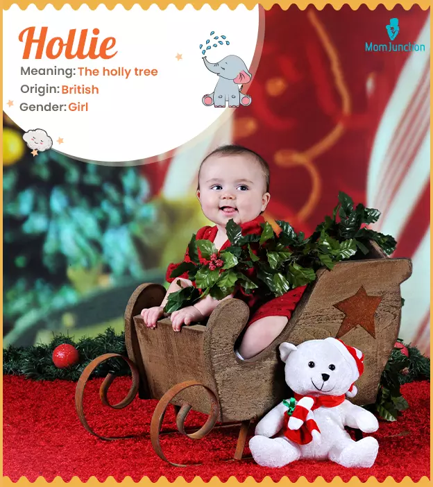 Hollie Name Meaning, Origin, History, And Popularity