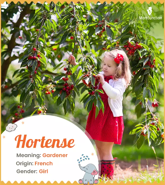 Hortense Name, Meaning, Origin, History, And Popularity