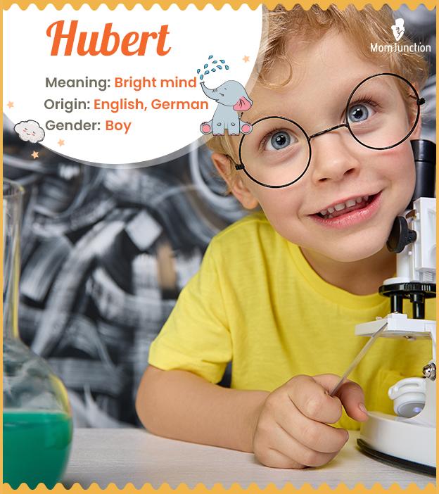 Hubert Name, Meaning, Origin, History And Popularity Hubert Name, Meaning, Origin, History And Popularity