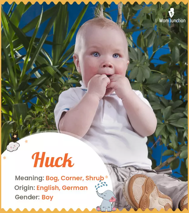 Huck Meaning, Origin, History, And Popularity