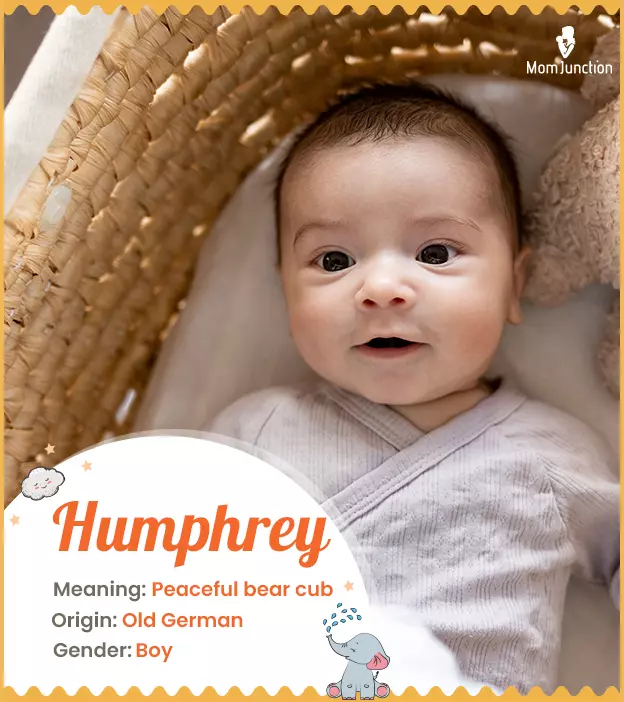 Explore Humphrey Baby Name: Origin, Meaning & Popularity Complete Guide ...