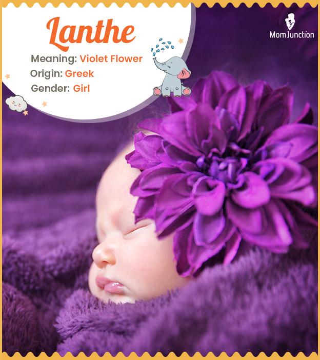 Ianthe Meaning, Origin, History, And Popularity
