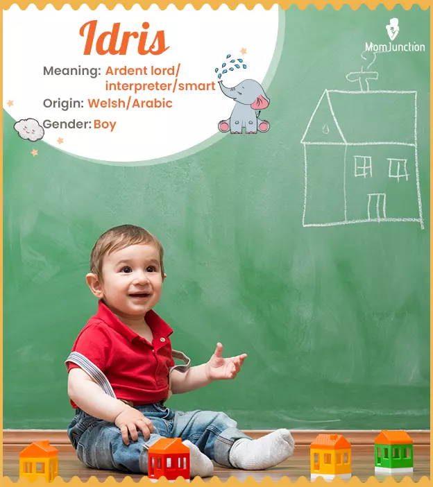 Idris Name Meaning And Origin: A Comprehensive Guide