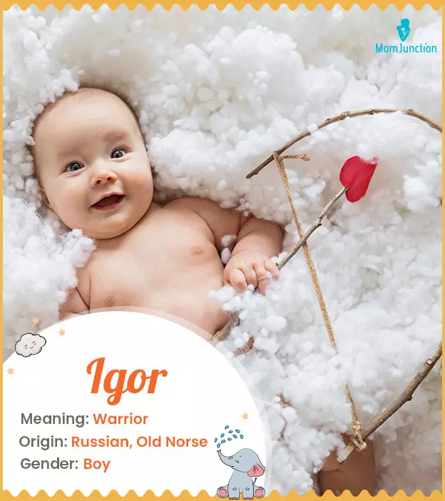 Igor Name Meaning, Origin, History, And Popularity