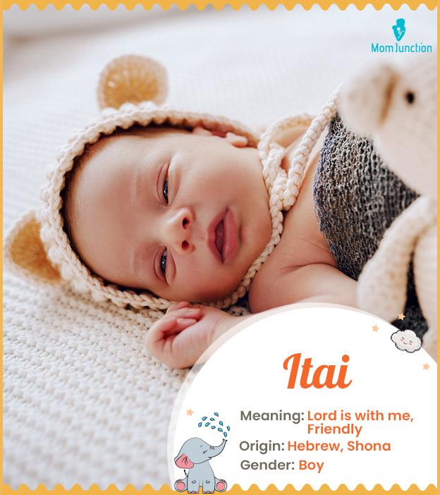 Explore Madara: Meaning, Origin & Popularity