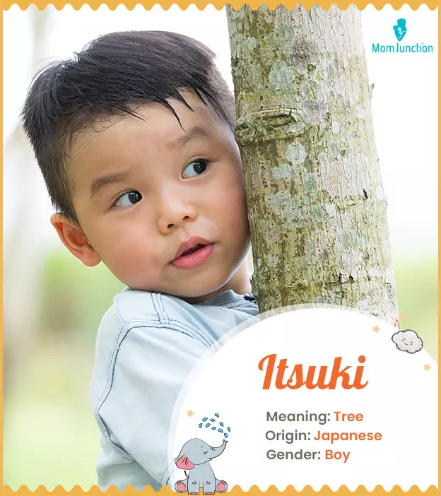 Itsuki: A Complete Guide To Origin, Meaning, And Pronunciation