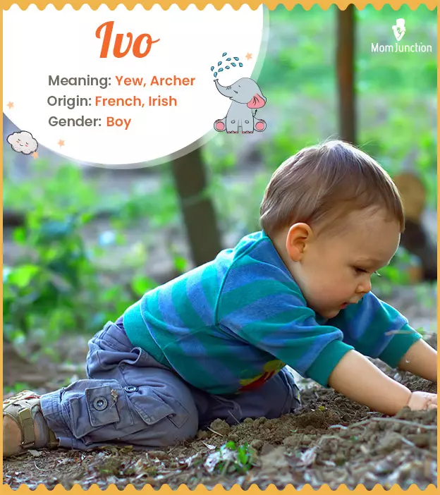 Ivo Name Meaning, Origin, History, And Popularity