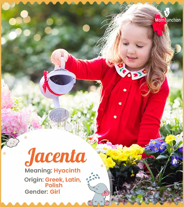 Explore Jacenta: Meaning, Origin & Popularity