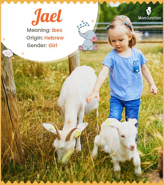 Jael Name Meaning, Origin, History, And Popularity