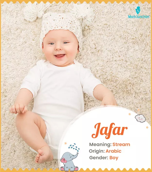 Jafar Name Meaning, Origin, History, And Popularity