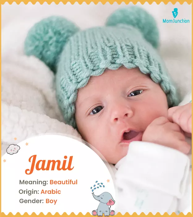 Jamil Name Meaning, Origin, History, And Popularity