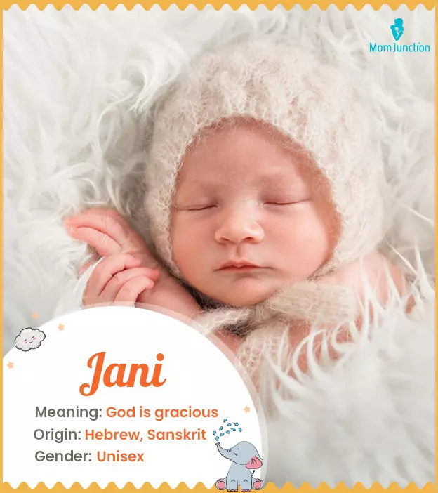 Explore Jani Name Meaning, Origin & History: A Comprehensive Guide ...