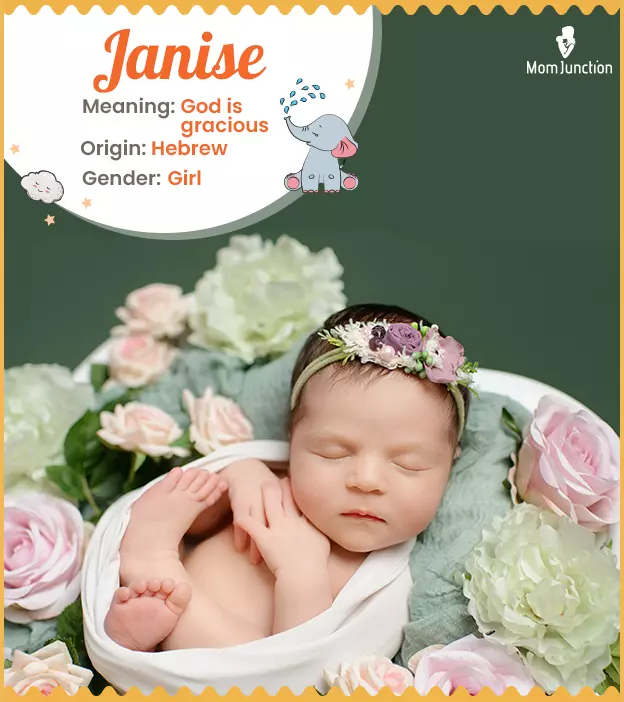 Janise Name Meaning, Origin, History, And Popularity