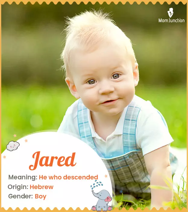 Jared Name Meaning, Origin, History, And Popularity