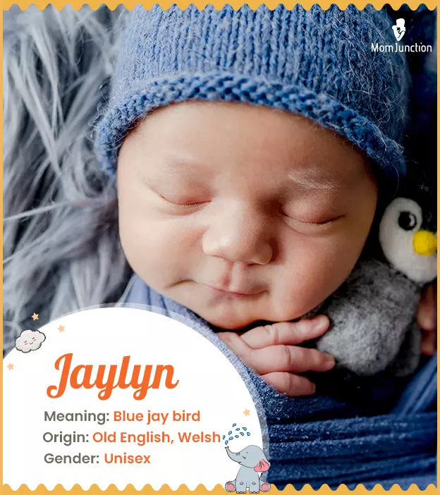Jaylyn Name Meaning, Origin, And History: A Complete Guide