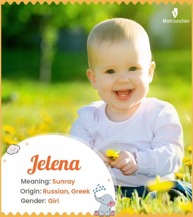 Jelena Name Meaning: Complete Guide To Origin And Popularity