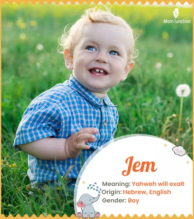 Jem Name Meaning, Origin, History, And Popularity