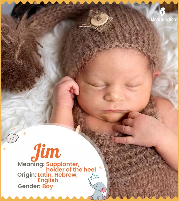 Jim Name Meaning, Origin, History, And Popularity